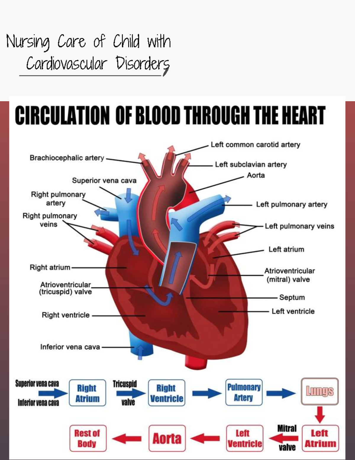 Children with cardiovascular disorders - Cardiovascular Disorders ...