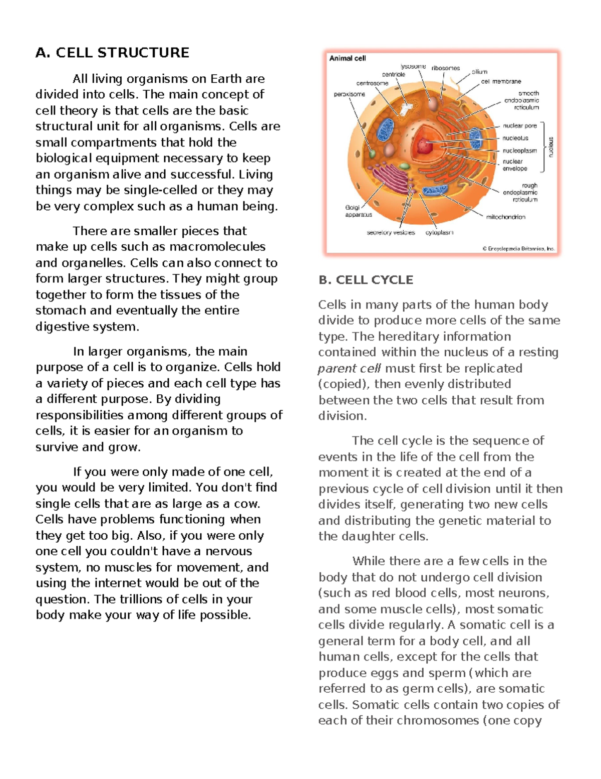 Anaphy typed - A. CELL STRUCTURE All living organisms on Earth are ...