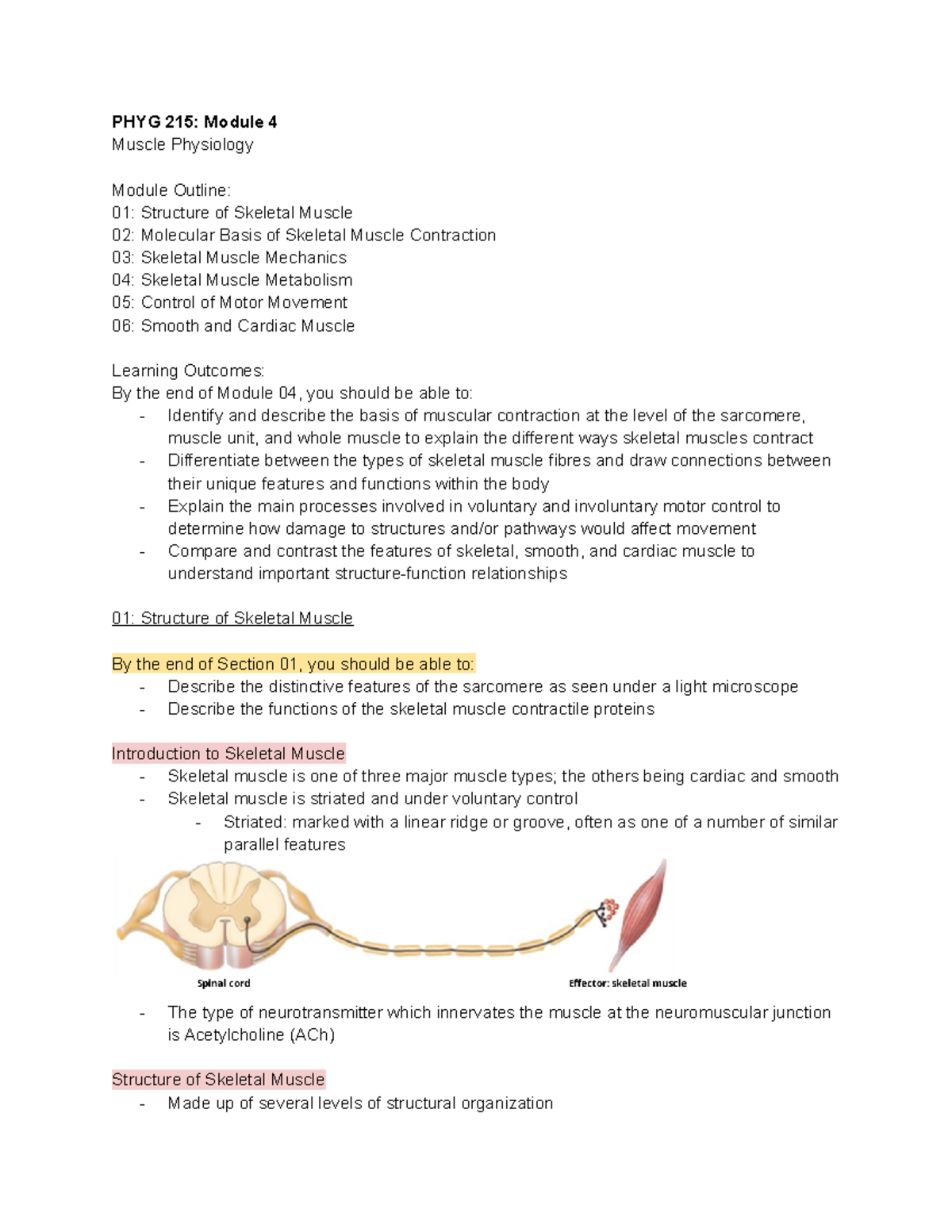 PHGY 215 Module 4 - PHYG 215: Module 4 Muscle Physiology Module Outline: 01: Structure of ...