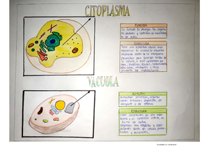 Informe DE Laboratorio Biologia-convertido - Warning: TT: undefined function: 32 UNIVERSIDAD ...