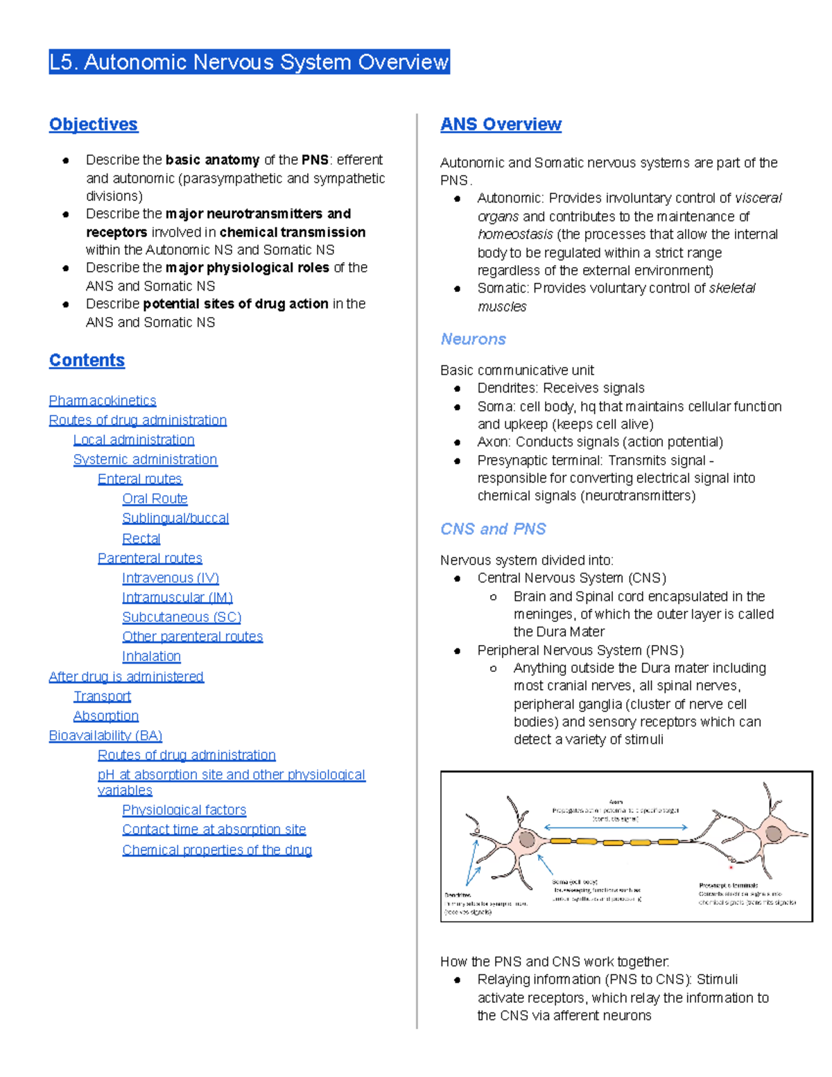 L5: Pharmacology of the ANS (Module 2, L1/3) - PHRM20001 - Unimelb ...