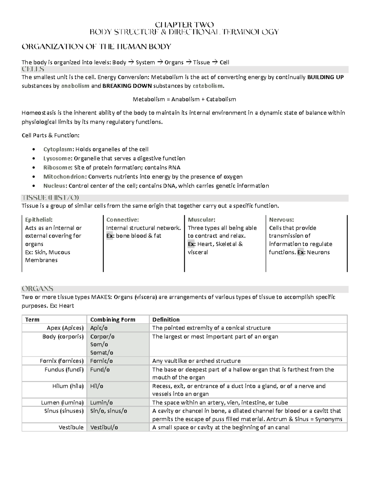 Chapter 2 Directional Terms and Body Cavities - The body is organized ...