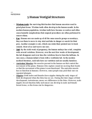 H1 and CD Anatomy of the Male and Female Reproductive Systems - Anatomy ...