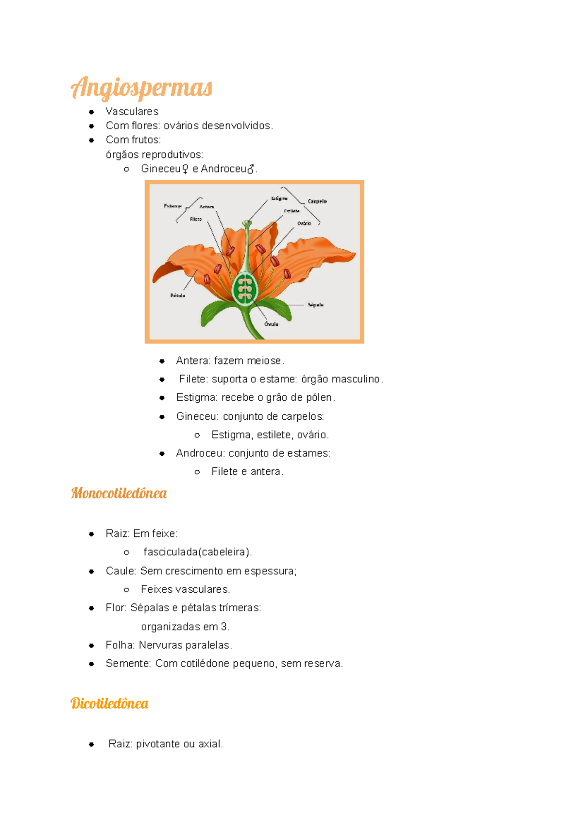 Espermatófitas - resumo de aula - Angiospermas Vasculares Com flores: ovários desenvolvidos ...