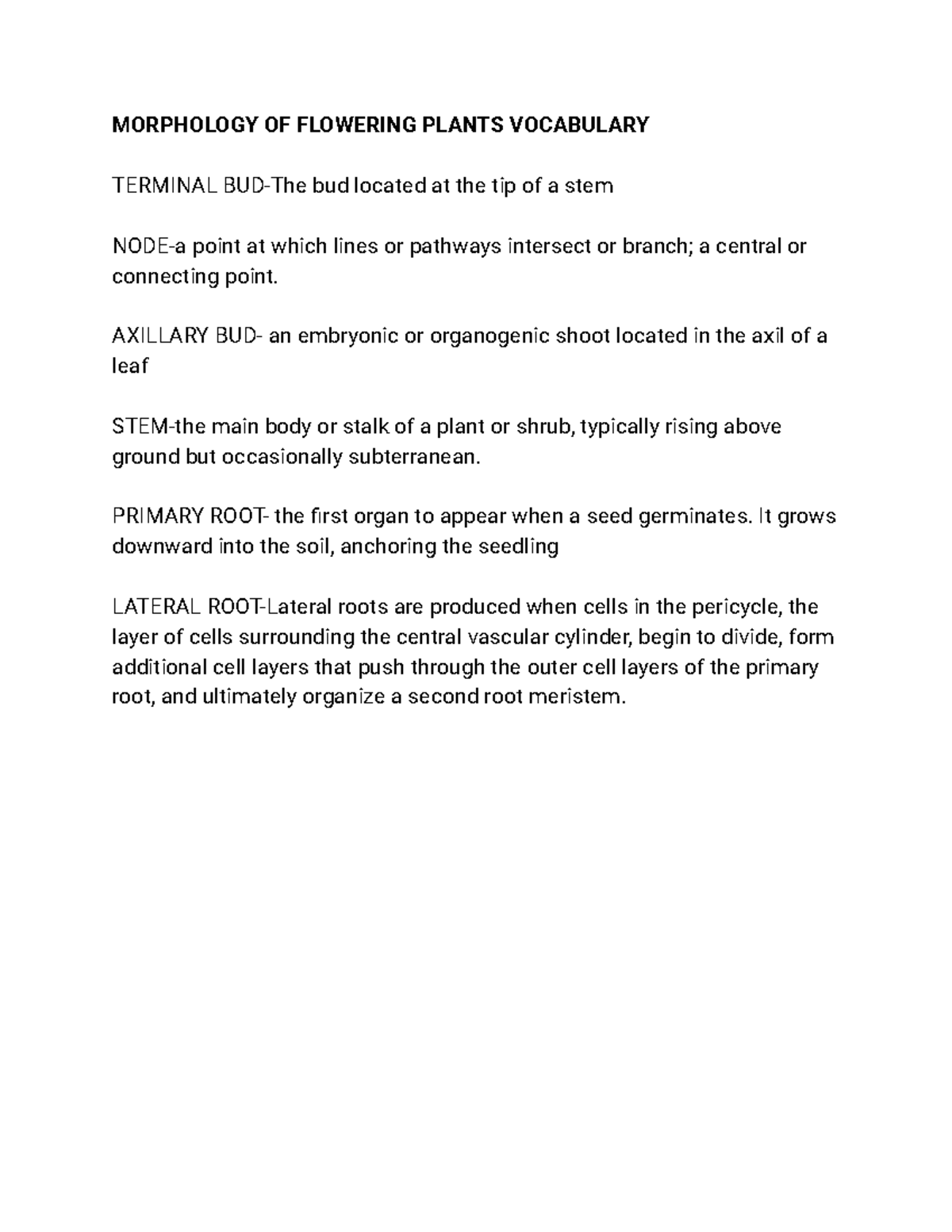 Morphology OF Flowering Plants Vocabulary - MORPHOLOGY OF FLOWERING ...