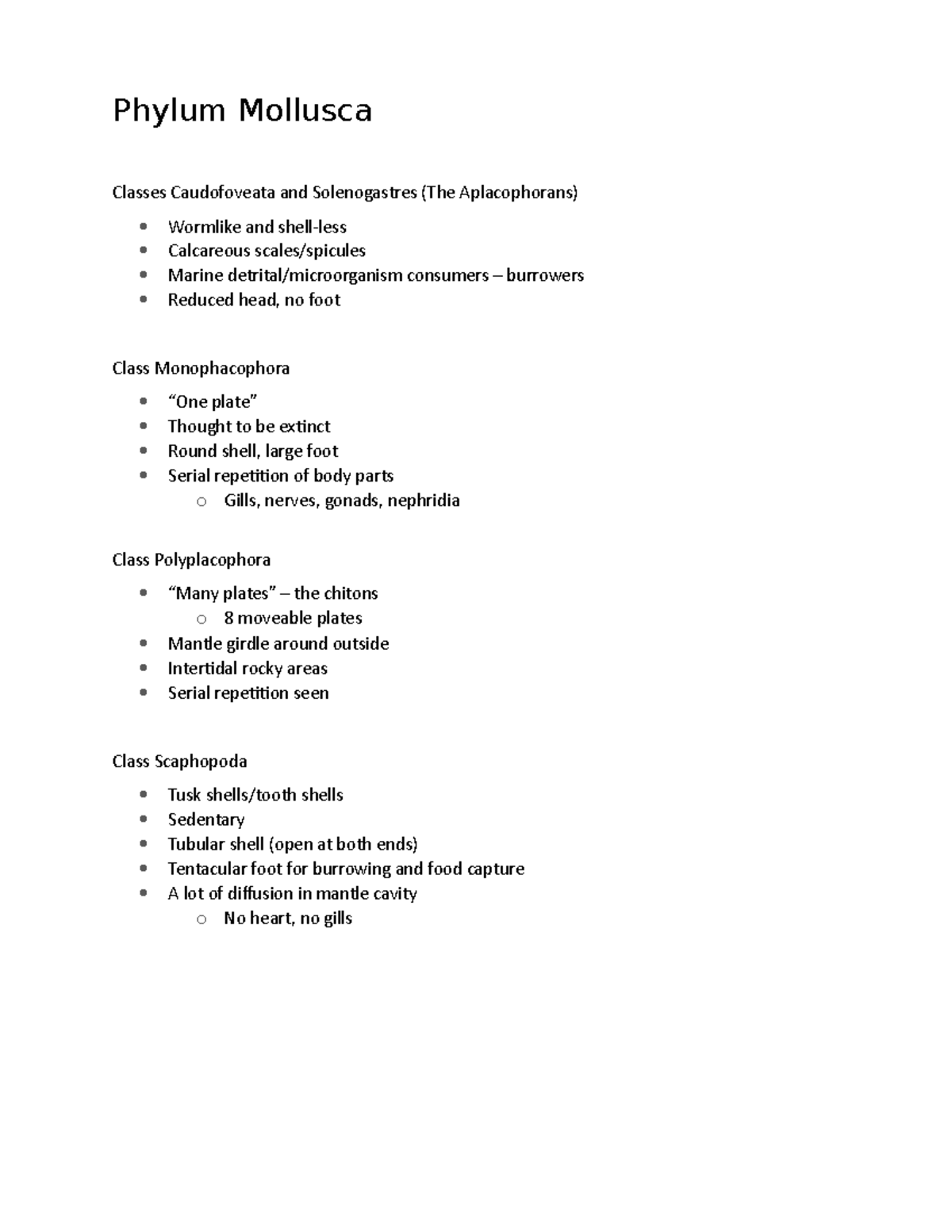 Phylum Mollusca - Lecture 10 - Phylum Mollusca Classes Caudofoveata and ...
