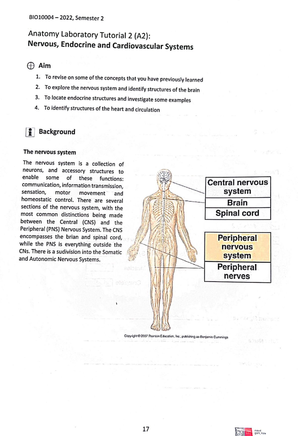 Anatomy Prac 2 - week 7 - BIO10004 - Swinburne - Studocu