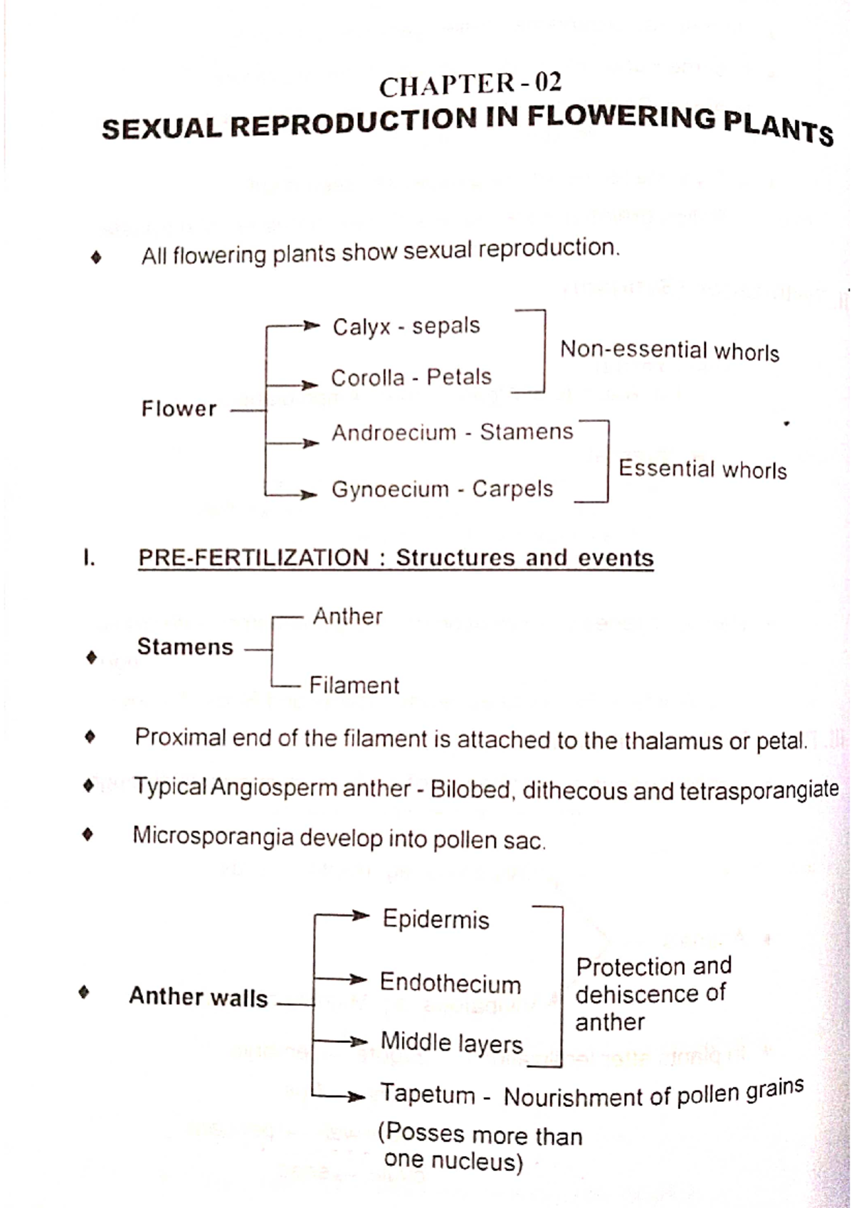 CHP 2 Sexual reproduction in flowering plants - science - Studocu