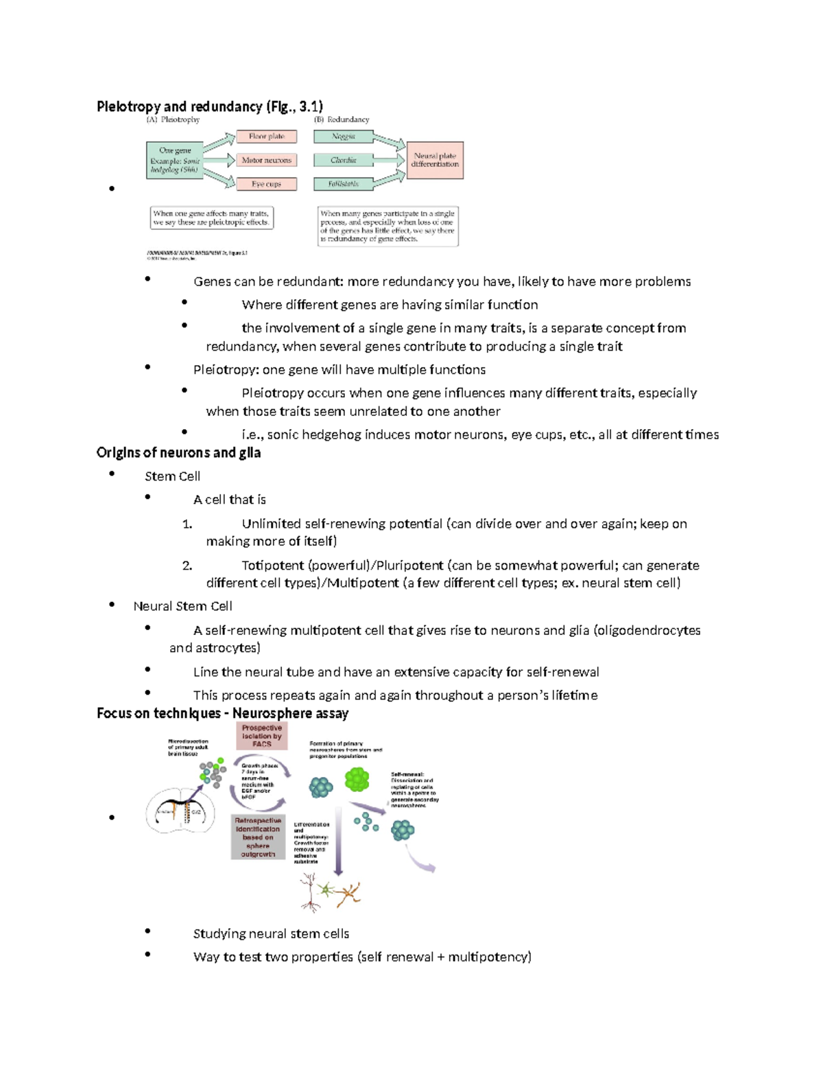 NEUR 2202 Chapter 3 - notes Carleton university - Pleiotropy and ...