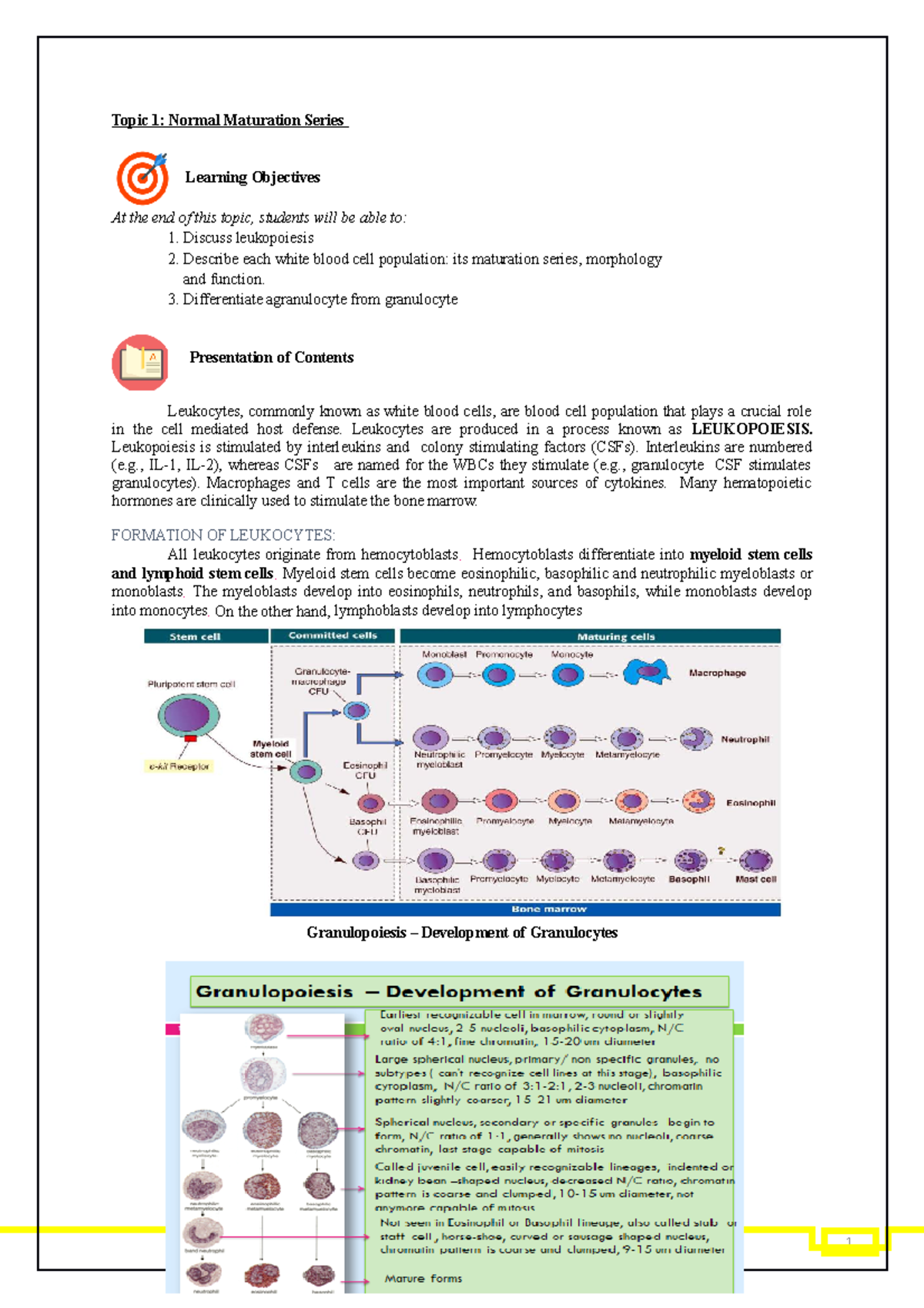 5. Topic 1 - hem - Topic 1: Normal Maturation Series Learning ...