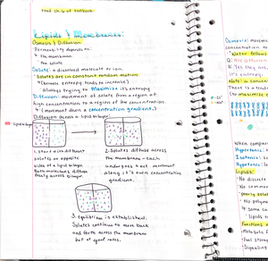 Nucleic acids notes - 213 - Studocu