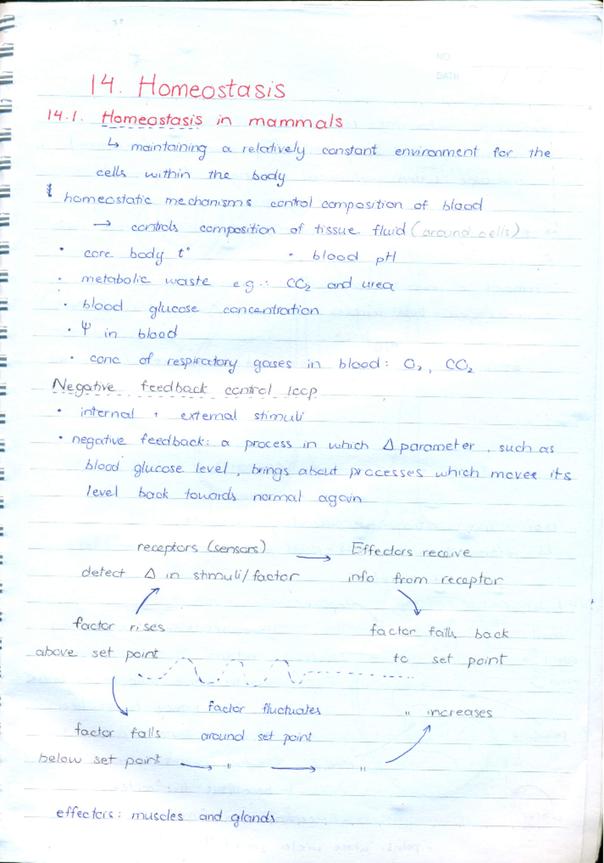 24 - hello - BIO 130 - Studocu