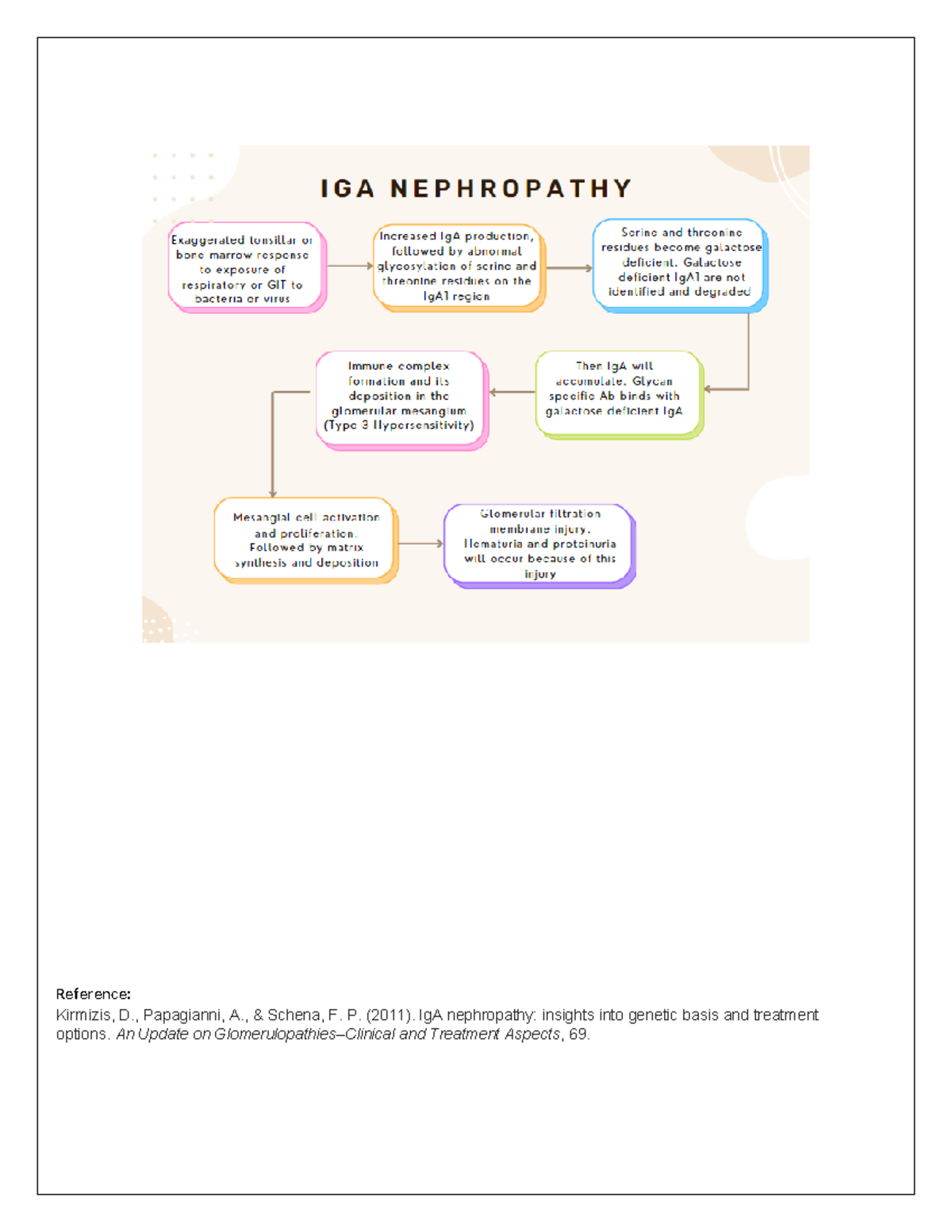 Iga nephropathy pathogenesis - Medical Laboratory Science - Reference: Kirmizis, D., Papagianni ...