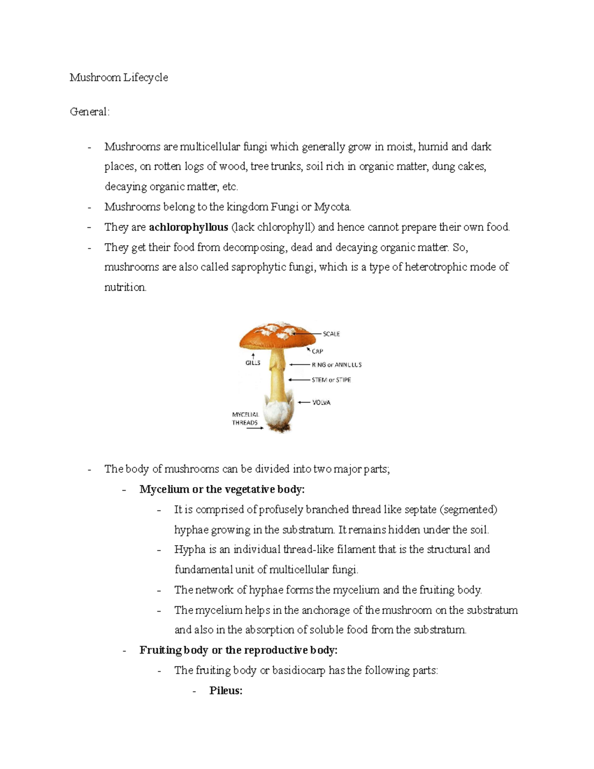 Mushroom Lifecycle - Mushroom Lifecycle General: Mushrooms are ...