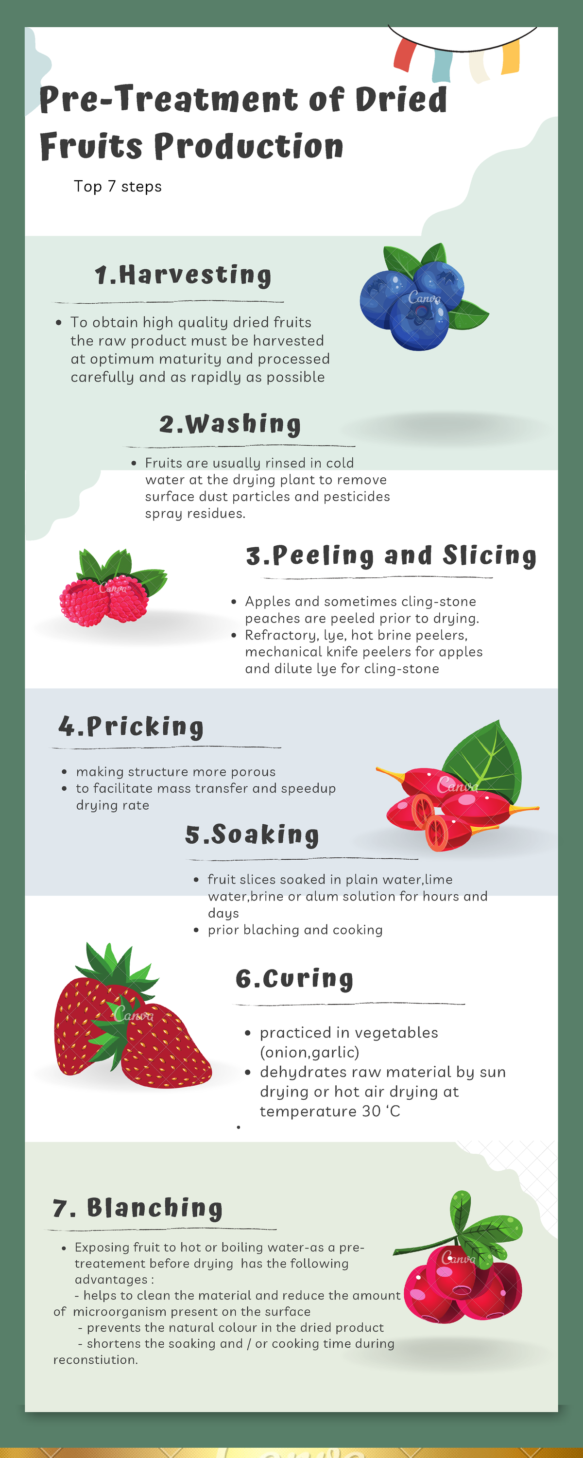 pricking in dried fruit - Pre-Treatment of Dried Fruits Production Top ...