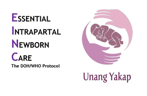 PROFESSIONAL STANDARDS IN NURSING PRACTICE - Module : VIII Professional ...