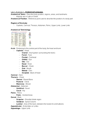 Lab Assignment - "Review Your Knowledge"; Exercise 6 - Exercise 6: A ...