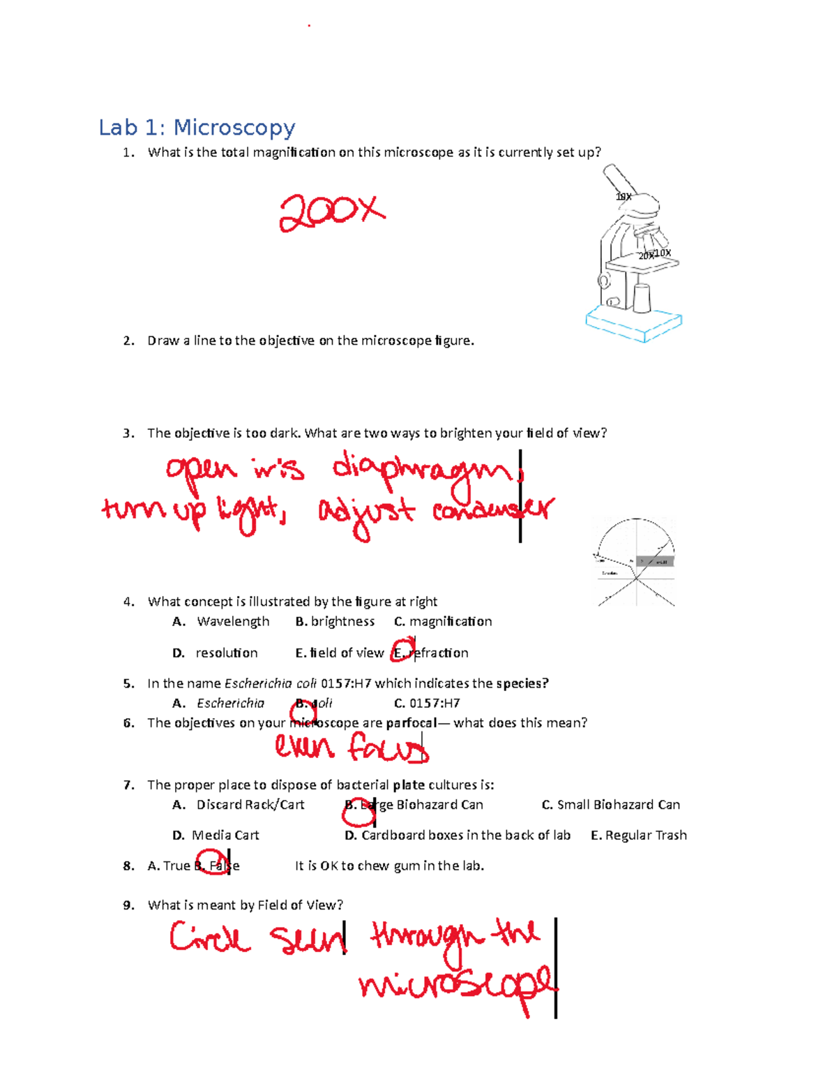 BIOL3230 - Lab Exam Practice (Key) - Lab 1: Microscopy What is the ...