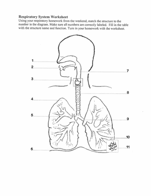 Thoracic and Pulmonary Worksheet - SURG 213 - Studocu