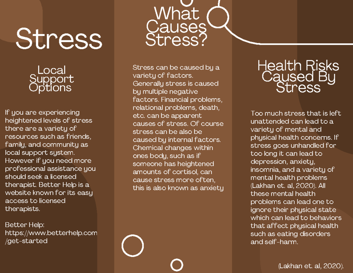 Stress Pamphlet - What Causes Stress? Stress Health Risks Caused By ...