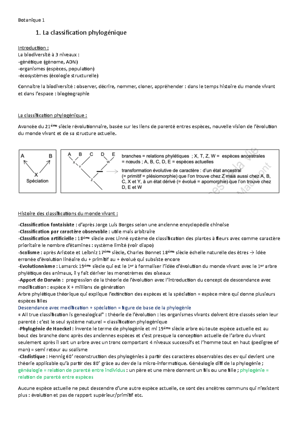 Botanique l1 S1 - Botanique 1 1. La classifica 2 on phylogénique Introduc 2 on : La biodiversité ...