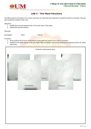 Genes Reviewer - Genes − Biological instructions that control how every ...