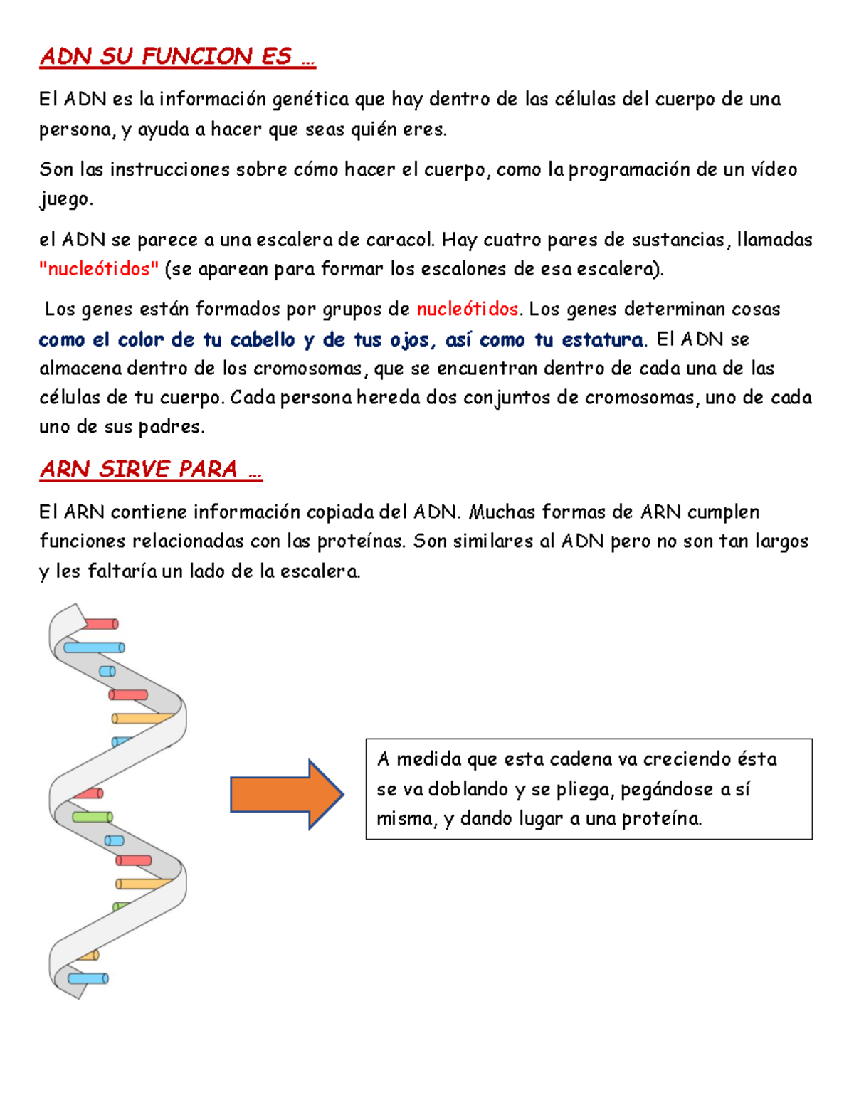 ADN SU Funcion ES - componente práctico del curso Gestión de las ...