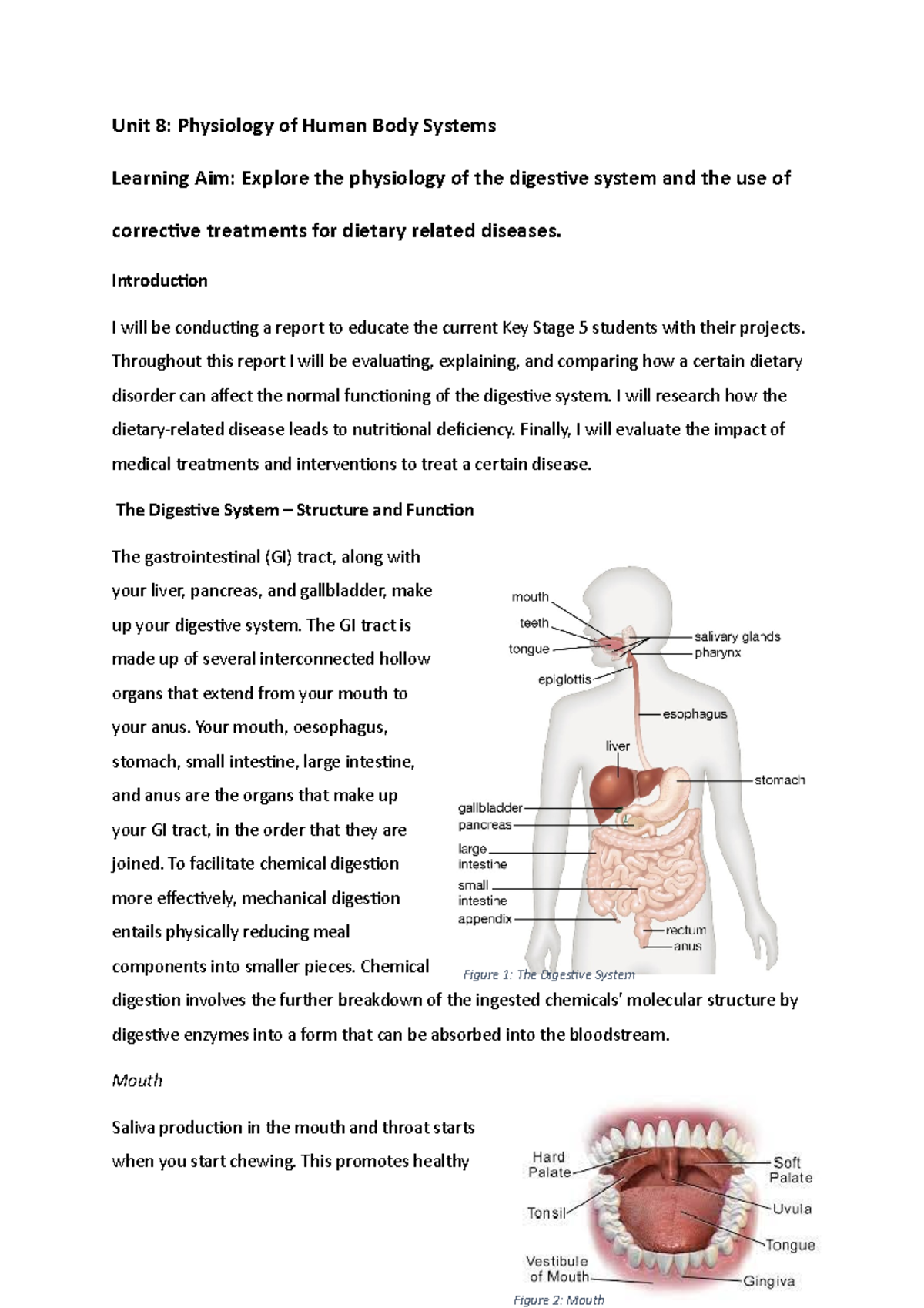 Assignment 3 - Unit 8: Physiology of Human Body Systems Learning Aim ...