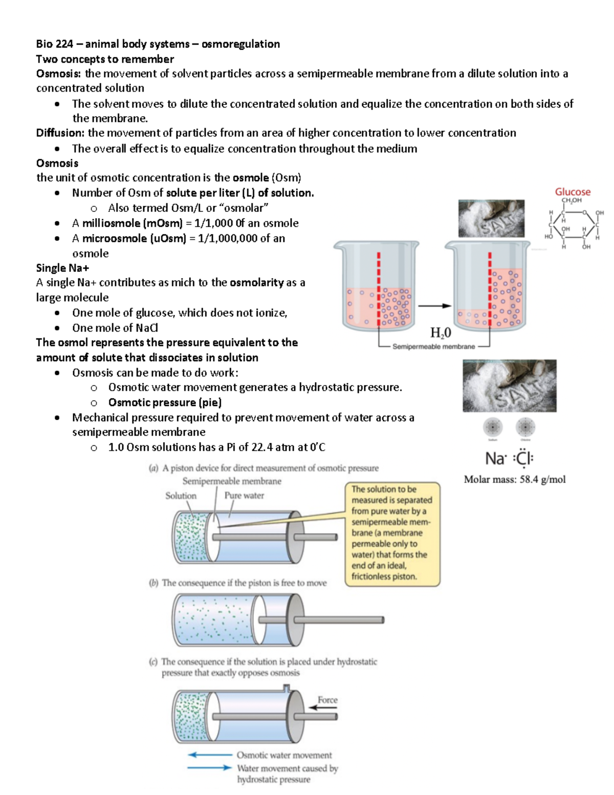 Bio 224 lecture osmoregulation - Bio 224 – animal body systems ...