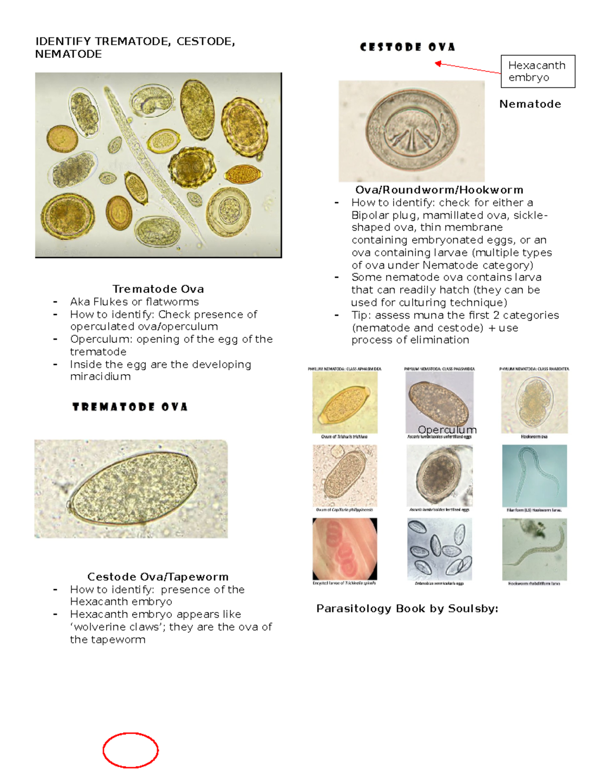 Helminthology Introduction and Microscopic Artifacts - IDENTIFY ...