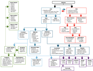 Operant Conditioning Review Exercise Answers - Operant Conditioning ...