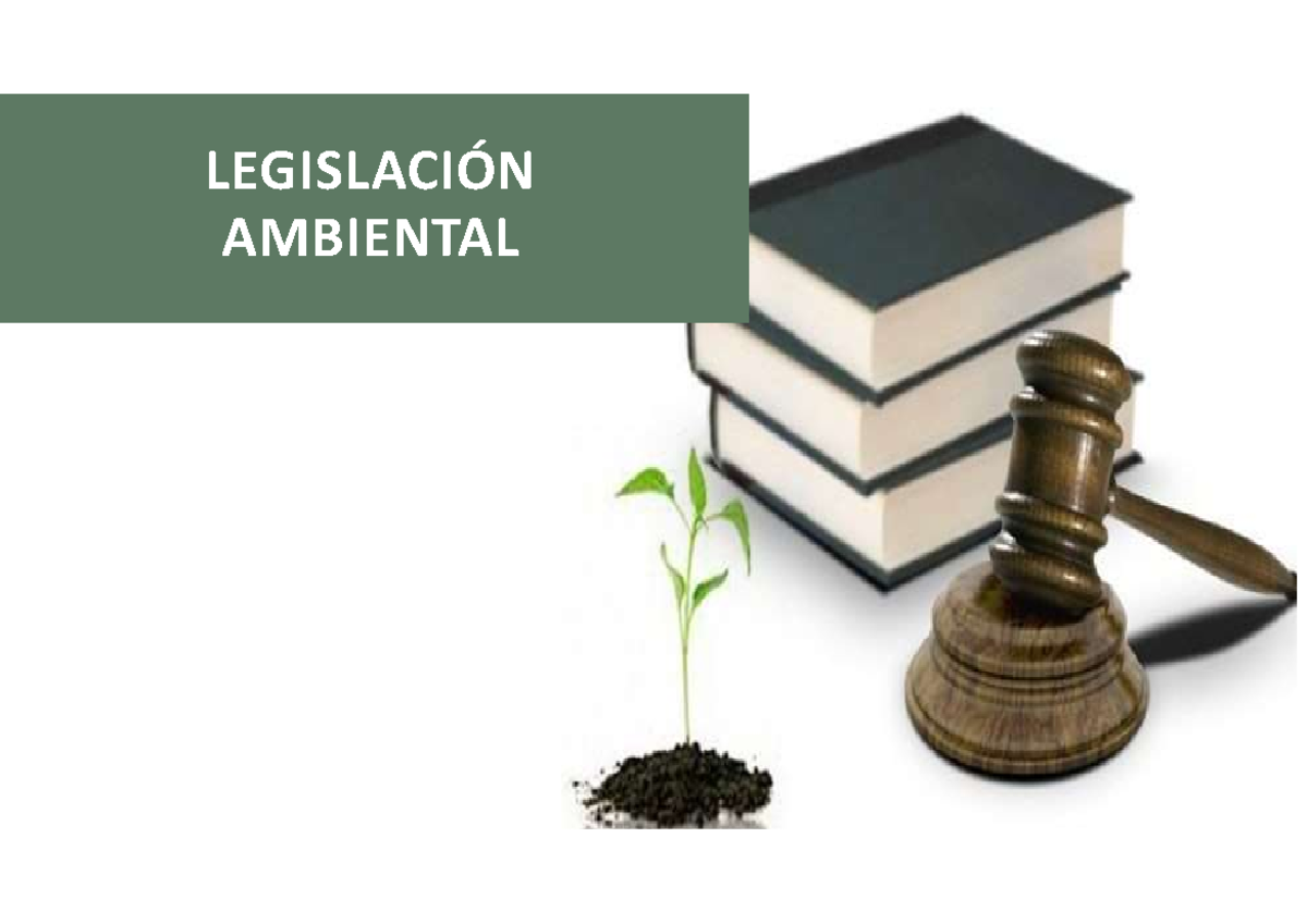 7. Legislación Ambiental - LEGISLACIÓN AMBIENTAL Norma Ambiental La norma es el modo como se ...