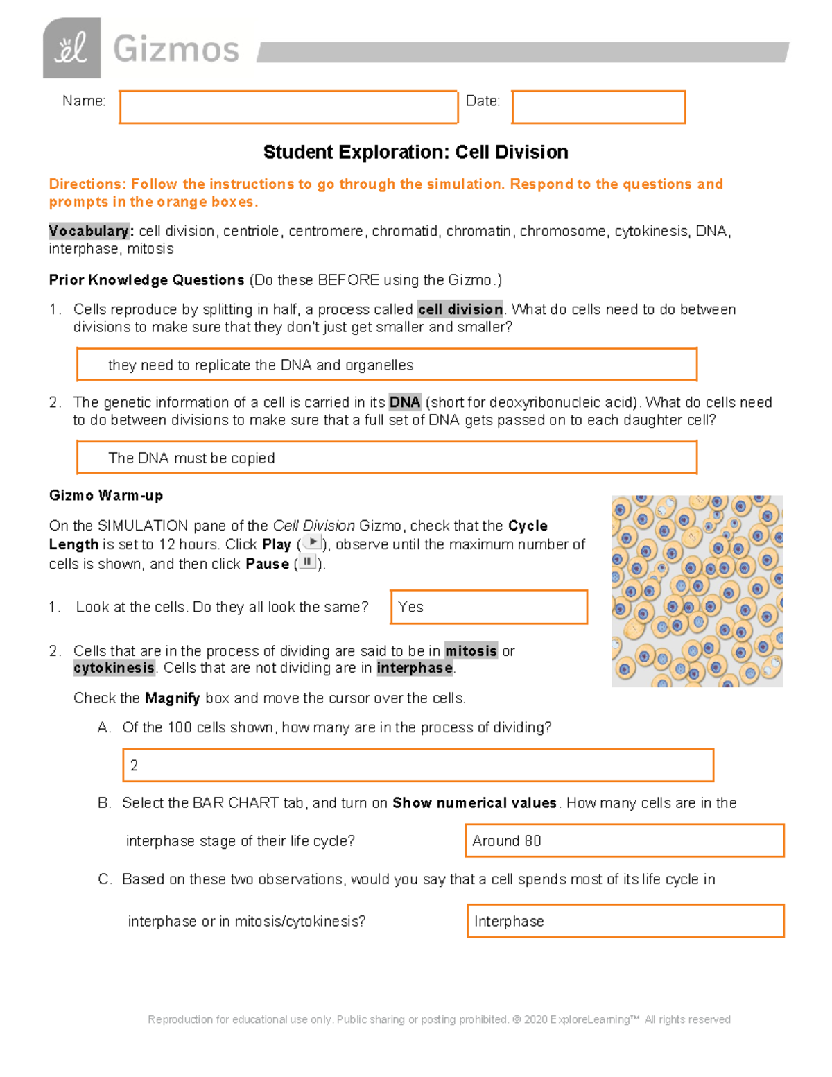 Biology GIzmo Activity - Name: Date: Student Exploration: Cell Division ...