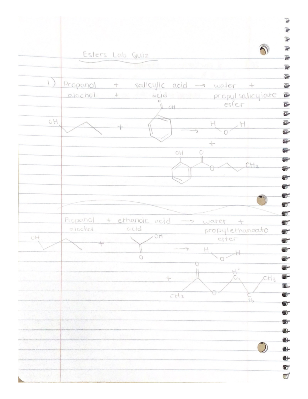 Esters Quiz - hjkkmn - Math 1Ls3 - Studocu