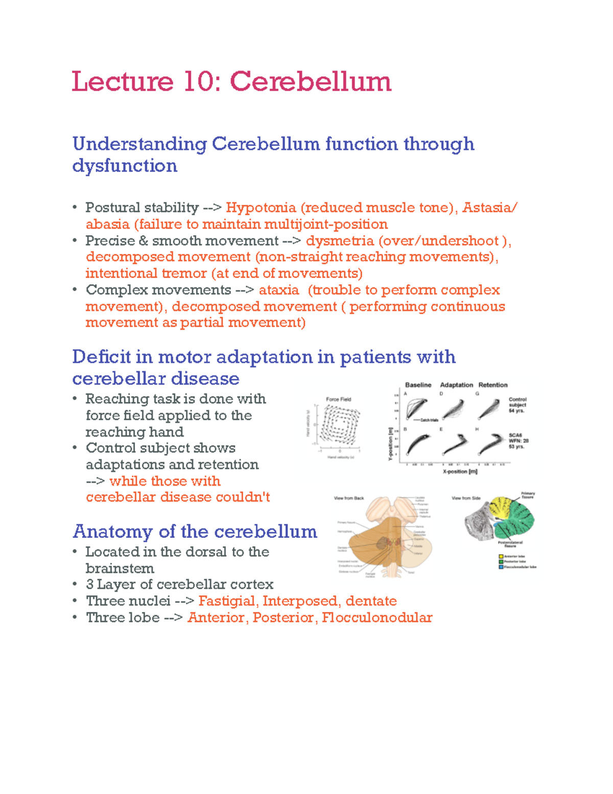Note 18 Oct 2021 - College-aantekeningen 8 - Lecture 10: Cerebellum ...