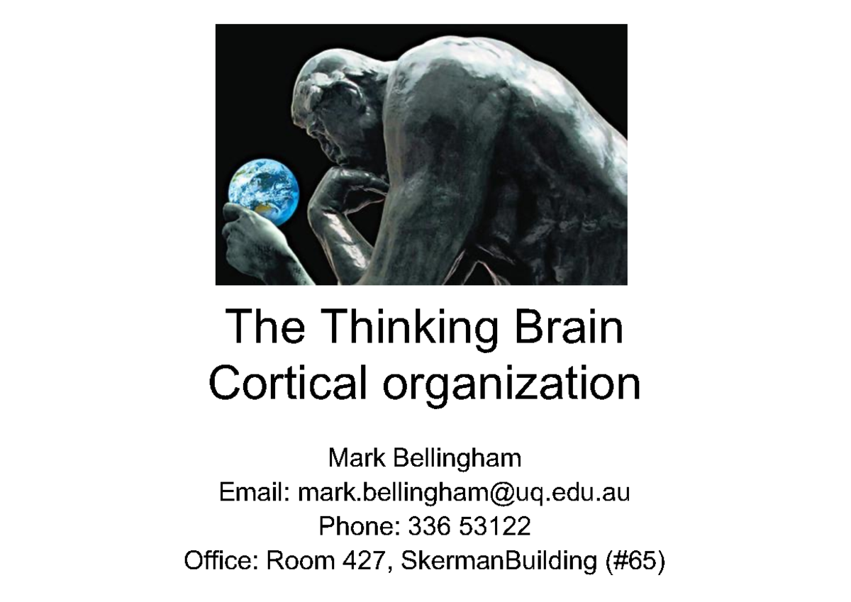 The Thinking Brain 1 2021 - The Thinking Brain Cortical organization ...