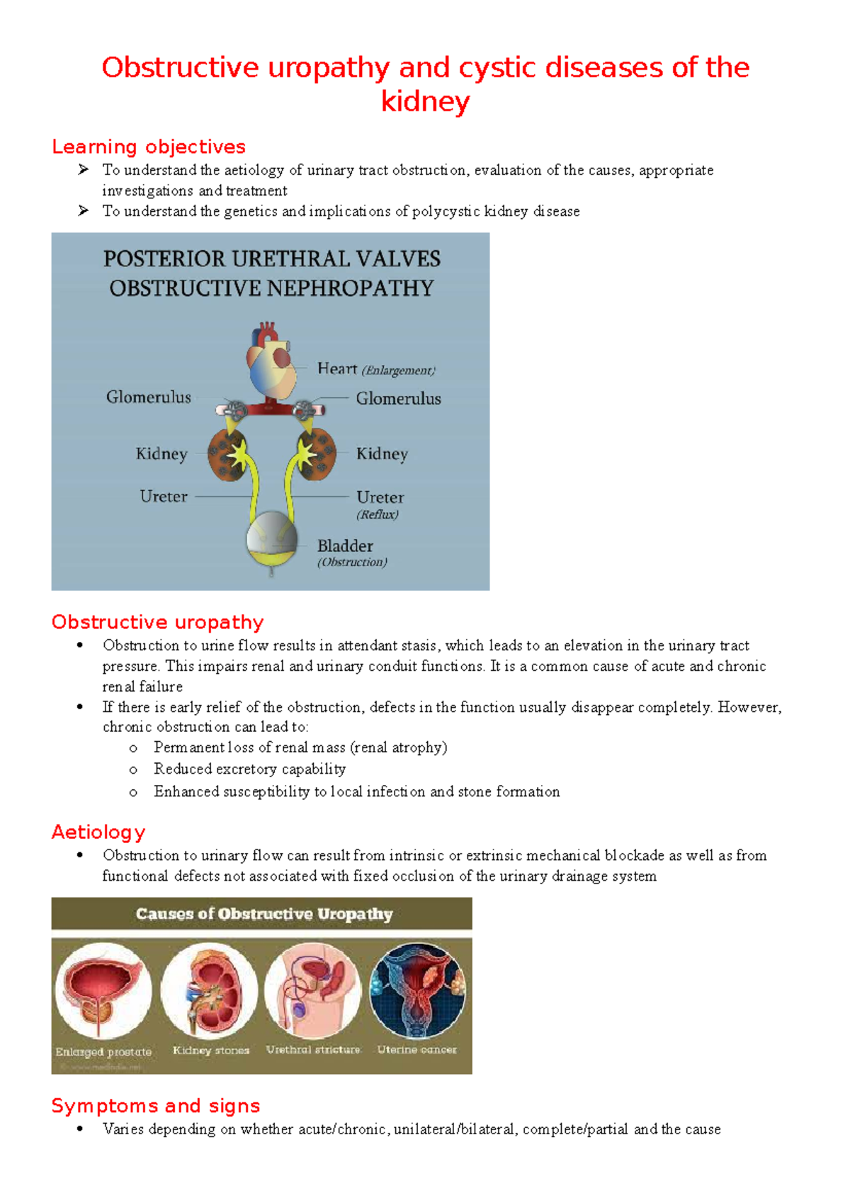 Obstructive uropathy and cystic diseases of the kidney - Obstructive ...