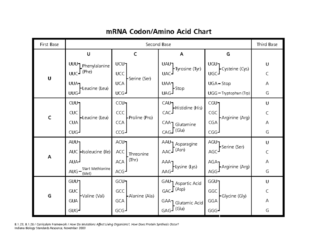 M RNAcodonchart - MrNA Code sequence chart - Third Base U C A G U C A G ...