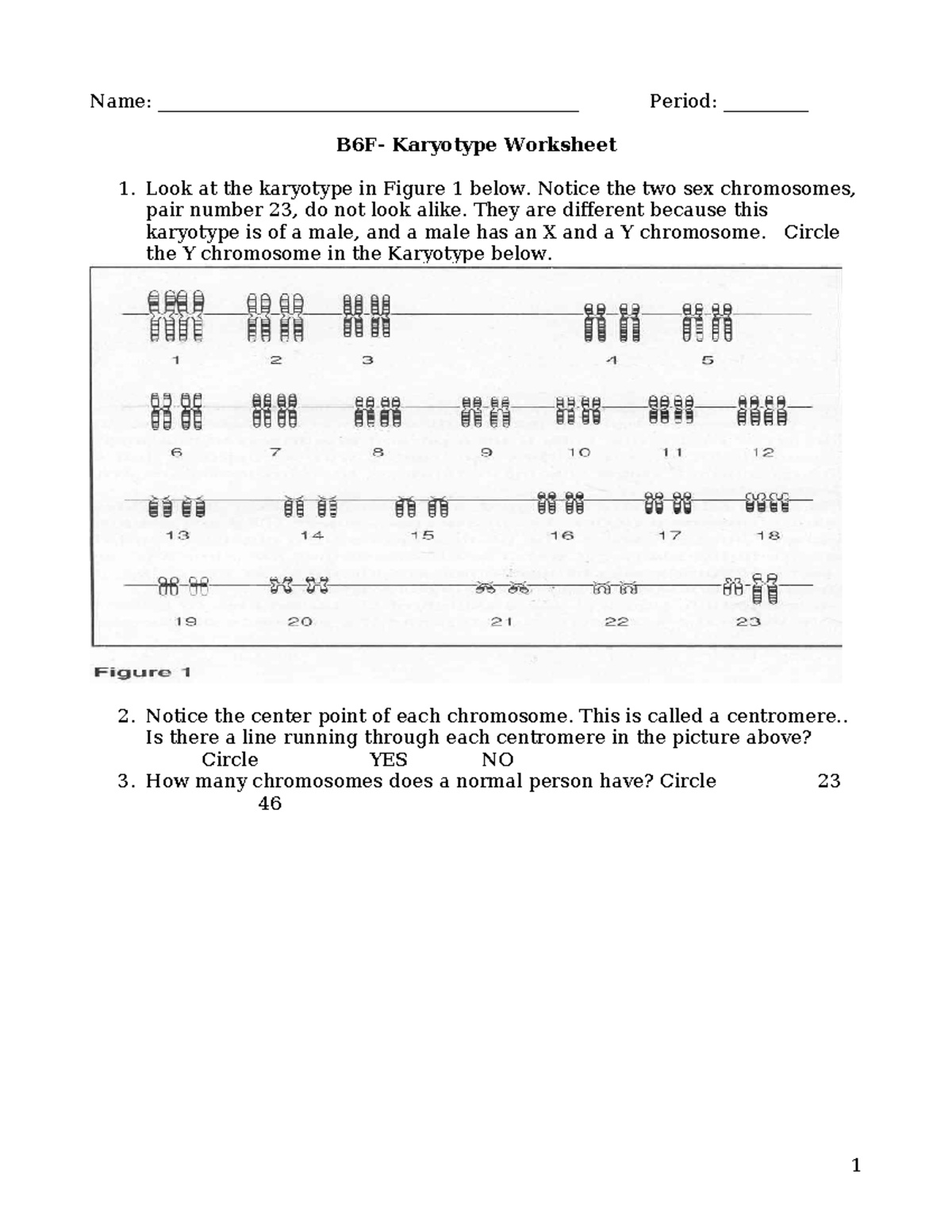 Karyotype worksheet - A really good study guide - Name: - Studocu