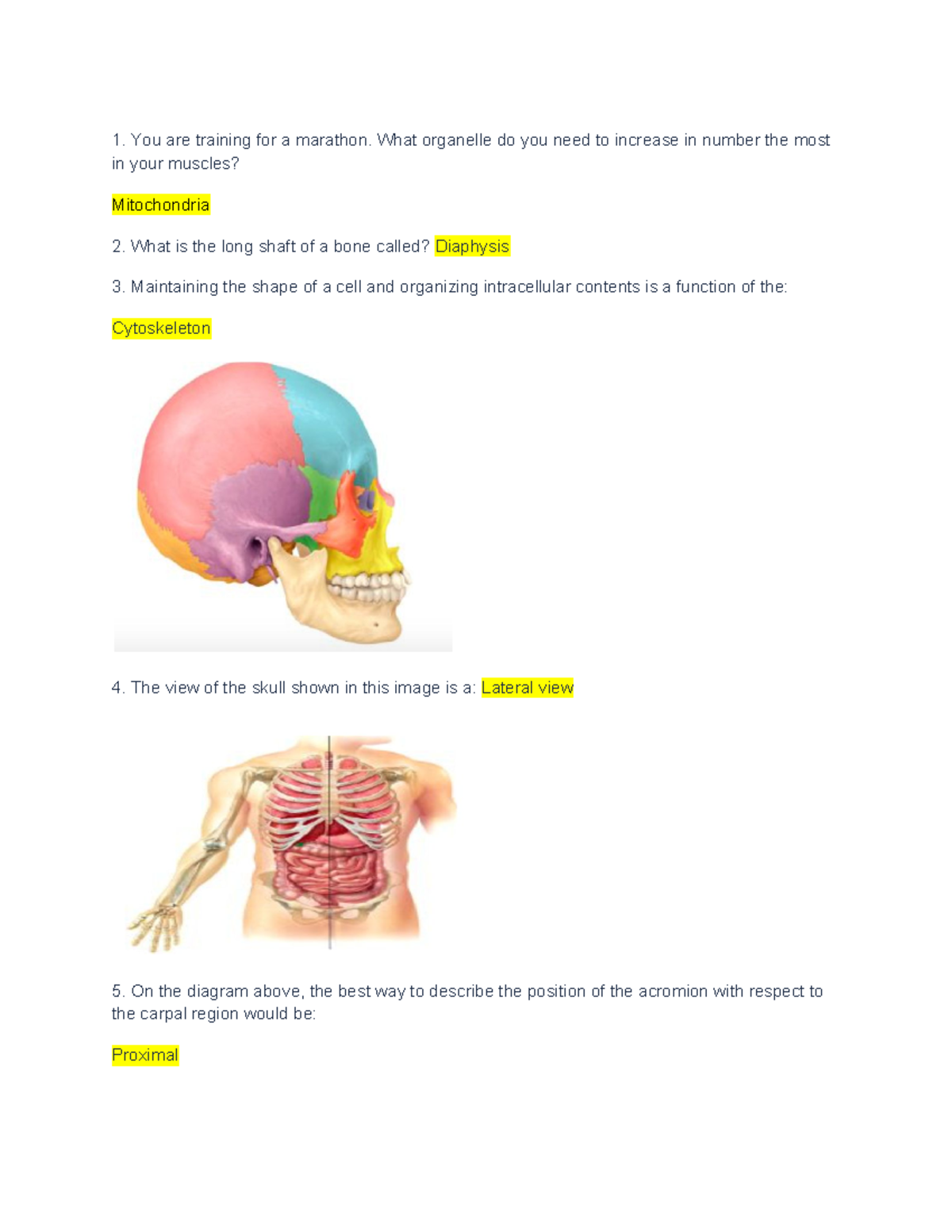 Midterm #1 - notes - You are training for a marathon. What organelle do ...