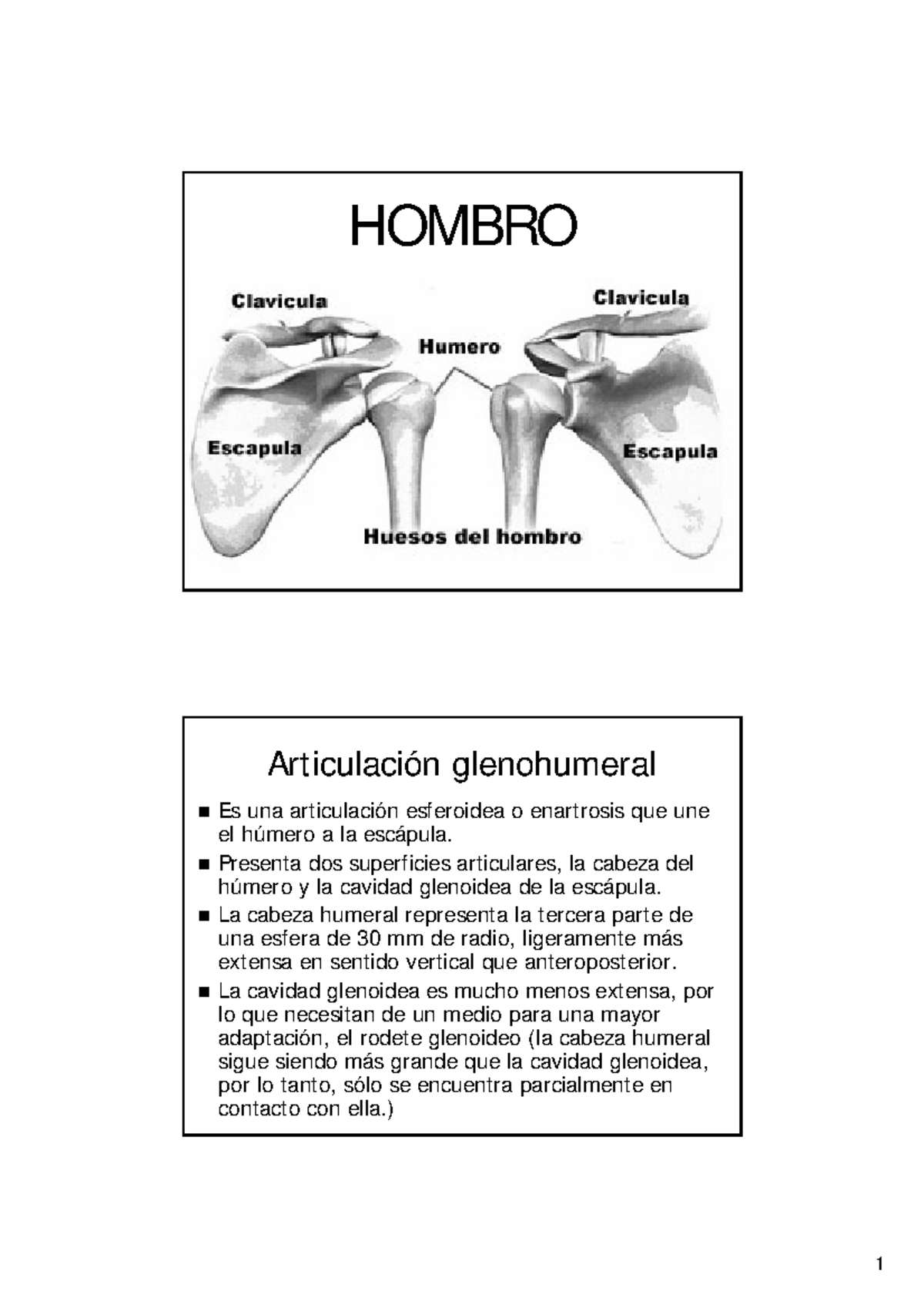 Hombro Resumen Del Kapandji Ao 2020 Hombro El Hombro Es La Articulaci