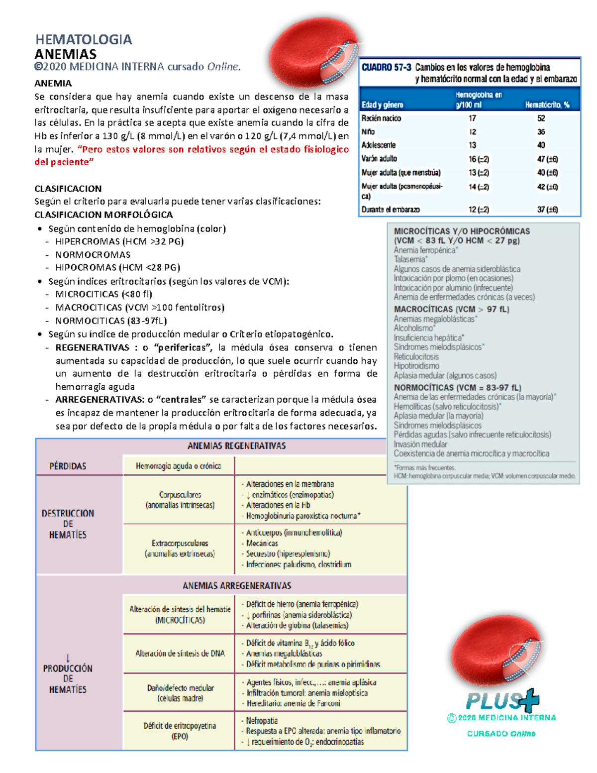 Anemias Resumen De Libro Clases Y Diversas Fuentes De Anemia