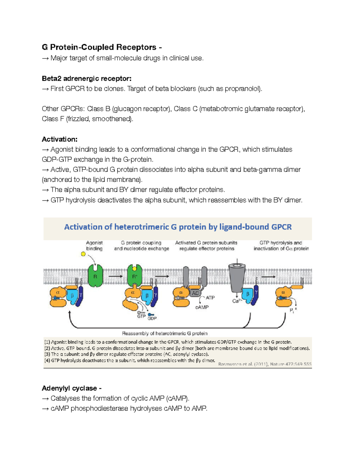 Gpcrs - Part of the Intergrative Cell Biology Course - cell signalling ...