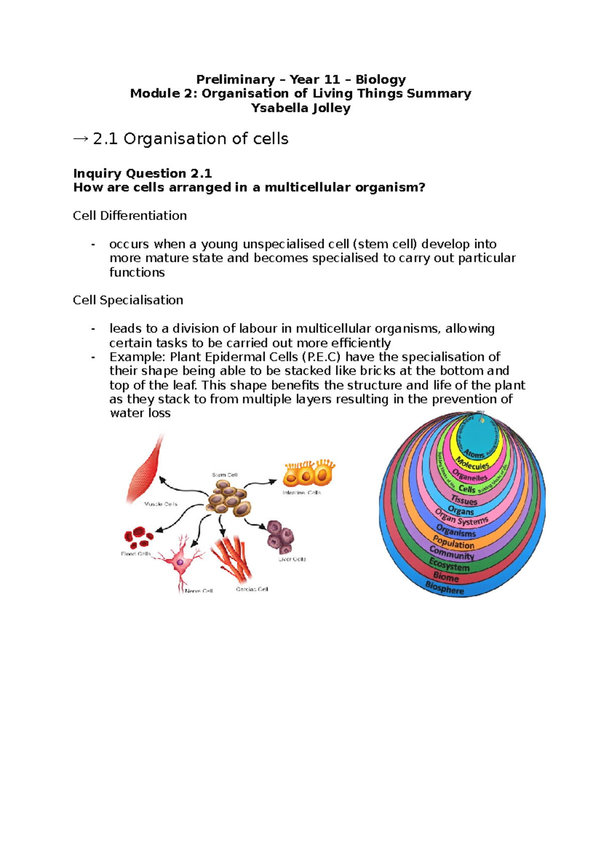 Module 2 - Organisation of Living Things - Preliminary – Year 11 ...