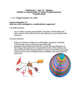 Preliminary biology - module 3 notes - STUDENT STUDY GUIDE MODULE 3 ...