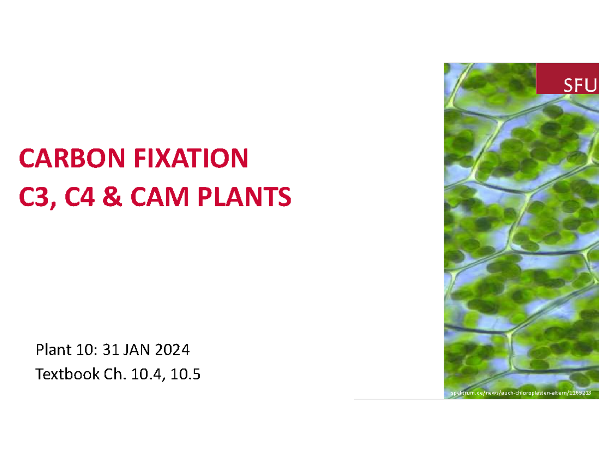 Plant Lecture 10-31JAN2024-Carbon Fixation C3 C4 CAM Plants - CARBON ...