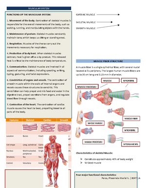 AnaPhy Senses Notes - BS Respiratory Therapy - UPHSD - Studocu