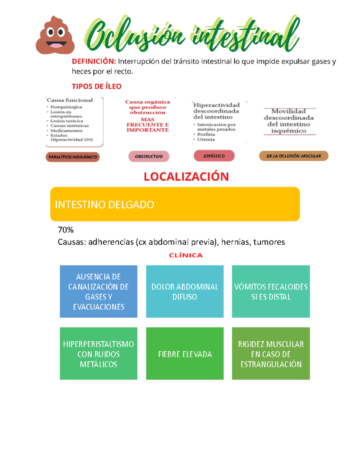 Oclusión intestinal, Vólvulo e Isquemia - AUSENCIA DE CANALIZACIÓN DE ...