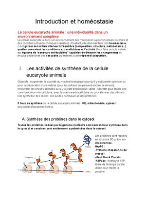 2B2M CR TP Biocell english - Biologie Cellulaire : architecture et ...