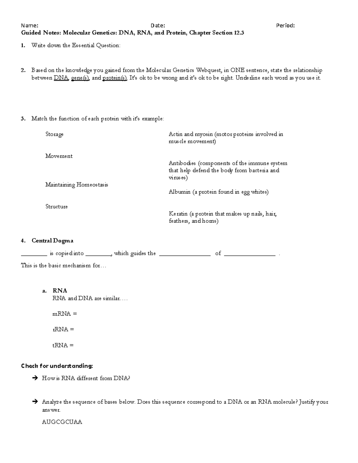 12.3 Guided Notes - Name: Date: Period: Guided Notes: Molecular ...